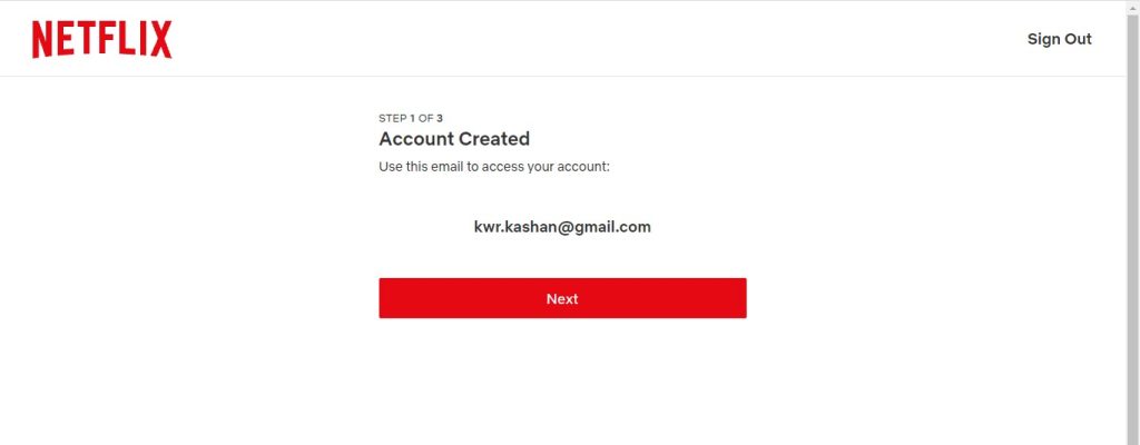 Netflix Packages Pakistan Latest Prices 2022 - The Upcut